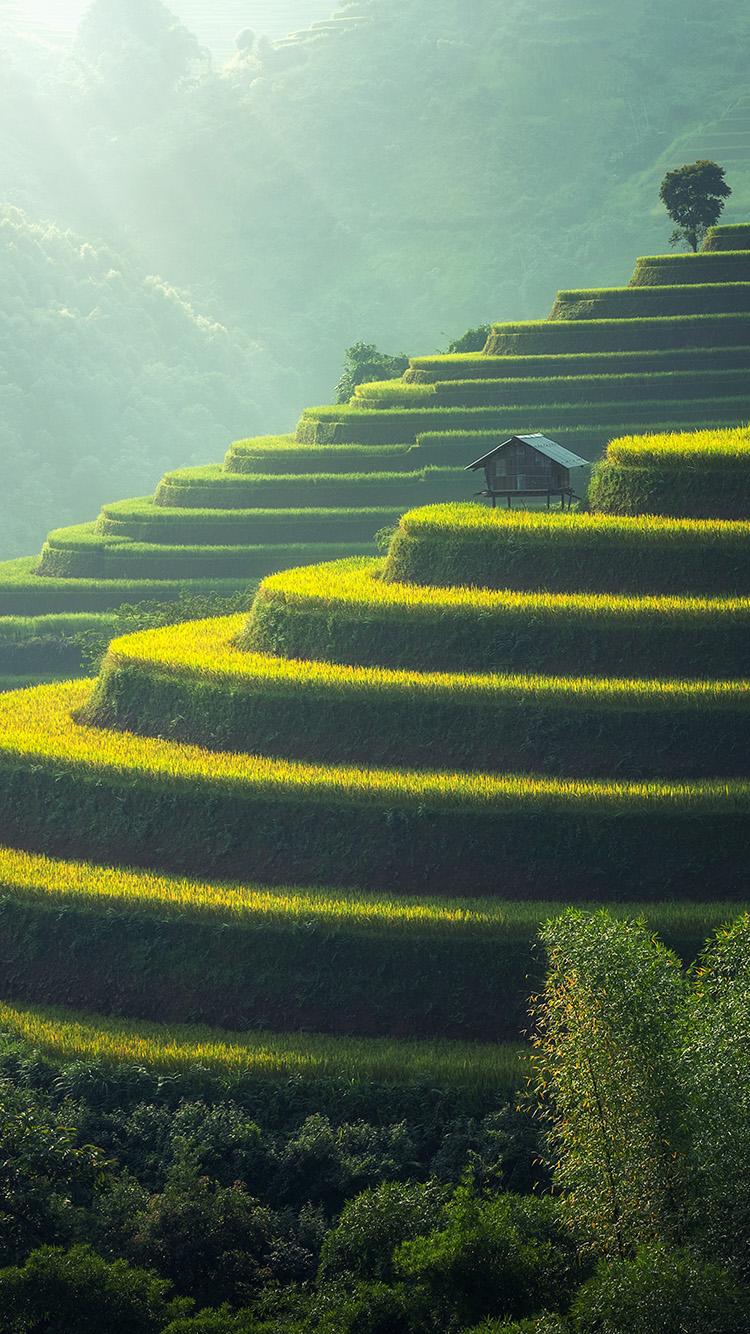 Calming Green Wallpapers - Top Free Calming Green Backgrounds ...