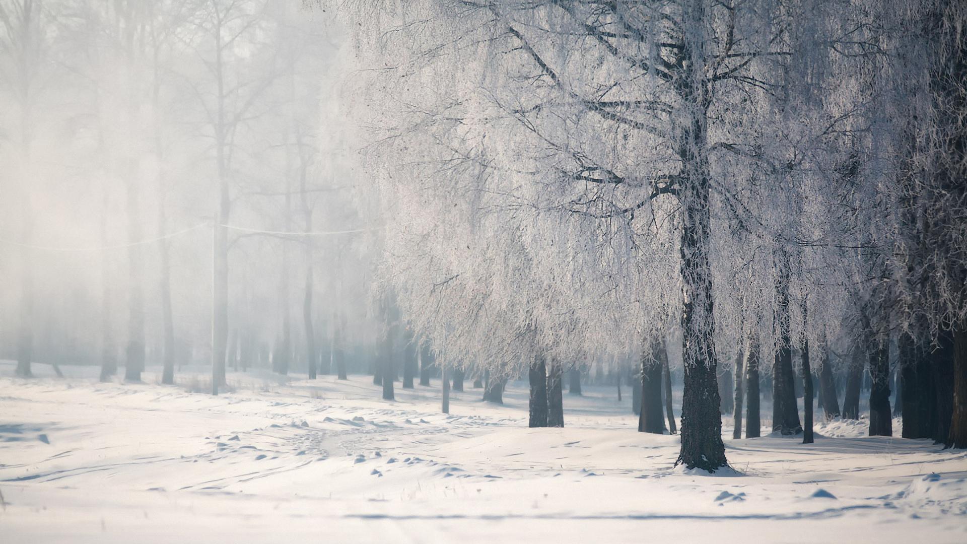 Calming Winter Wallpapers - Top Free Calming Winter Backgrounds ...