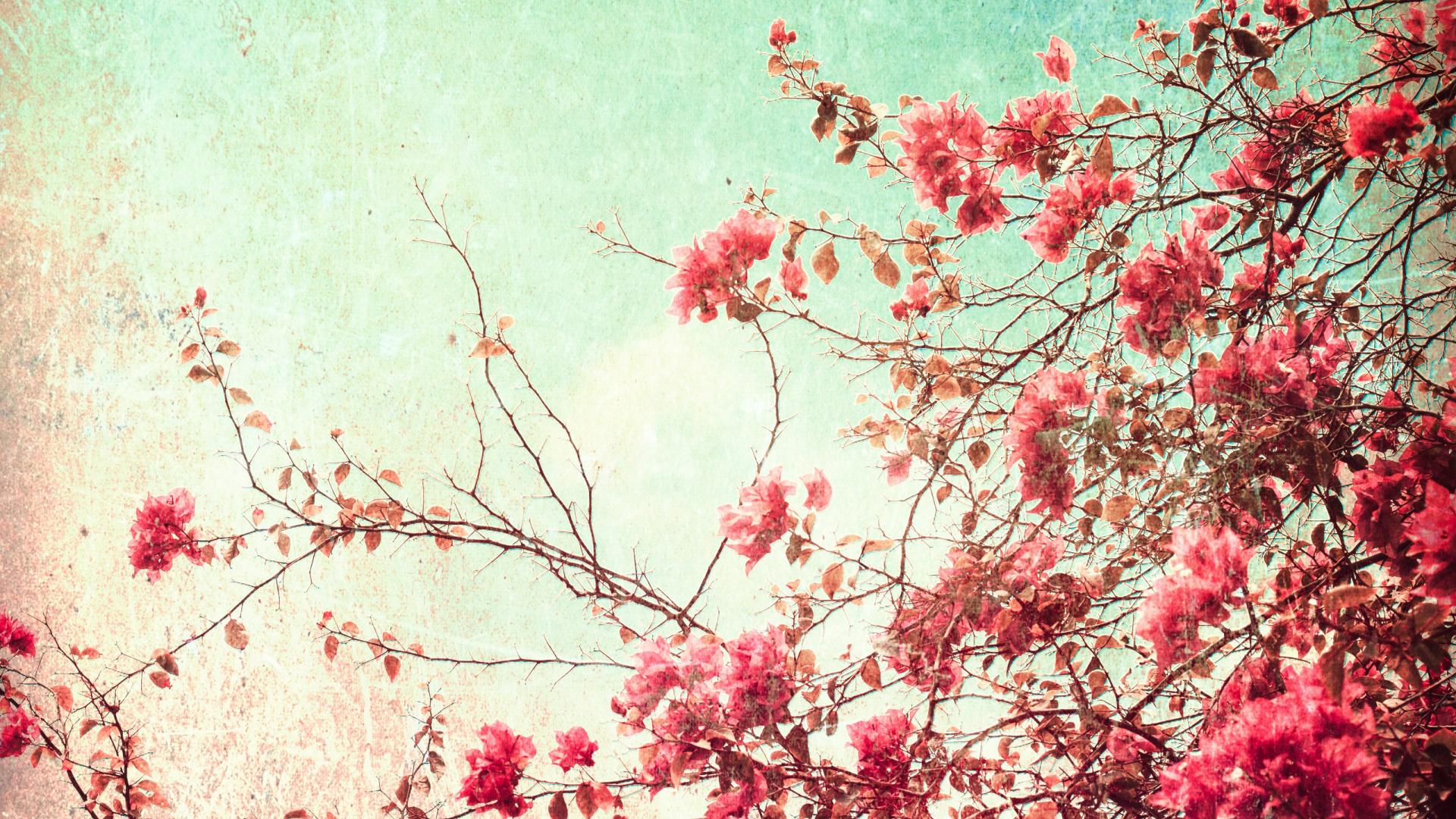 Aesthetic Floral Computer Wallpapers - Top Free Aesthetic Floral ...