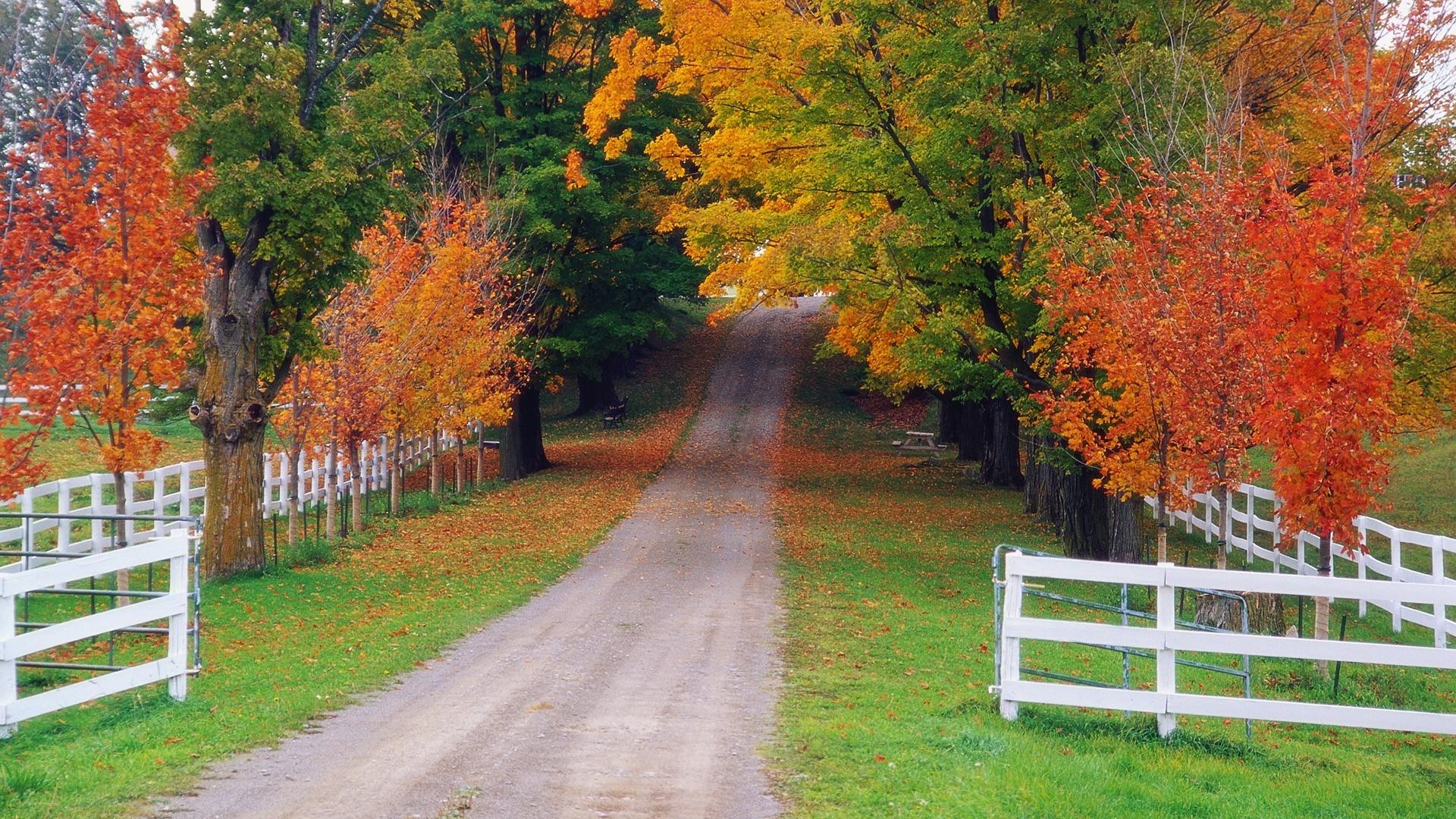 Michigan Autumn Wallpapers - Top Free Michigan Autumn Backgrounds ...