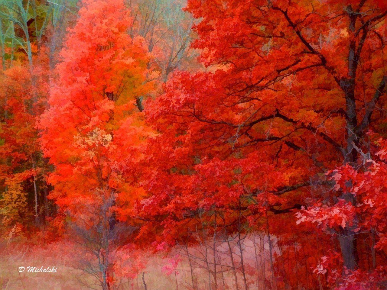 Michigan Autumn Wallpapers - Top Free Michigan Autumn Backgrounds ...