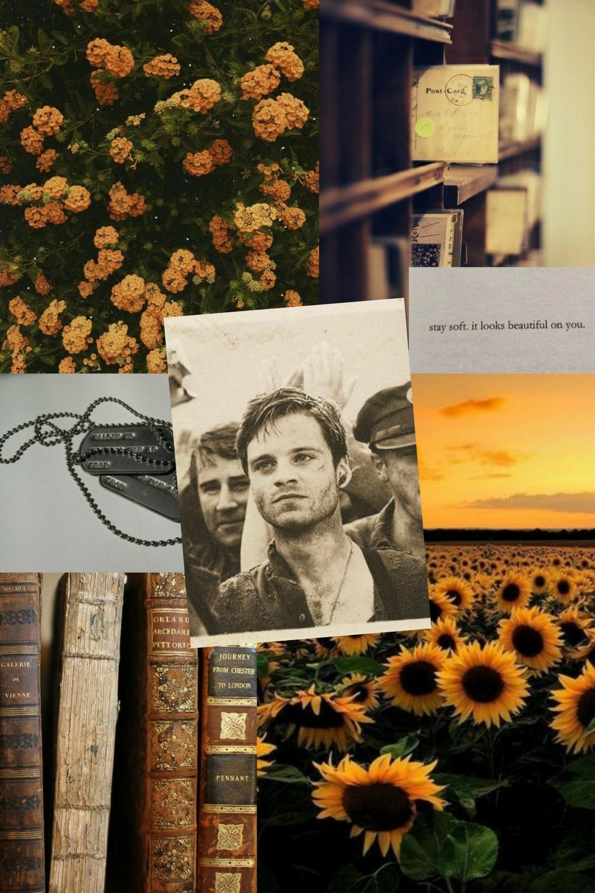 Bucky Barnes Aesthetic Wallpapers - Top Free Bucky Barnes Aesthetic ...