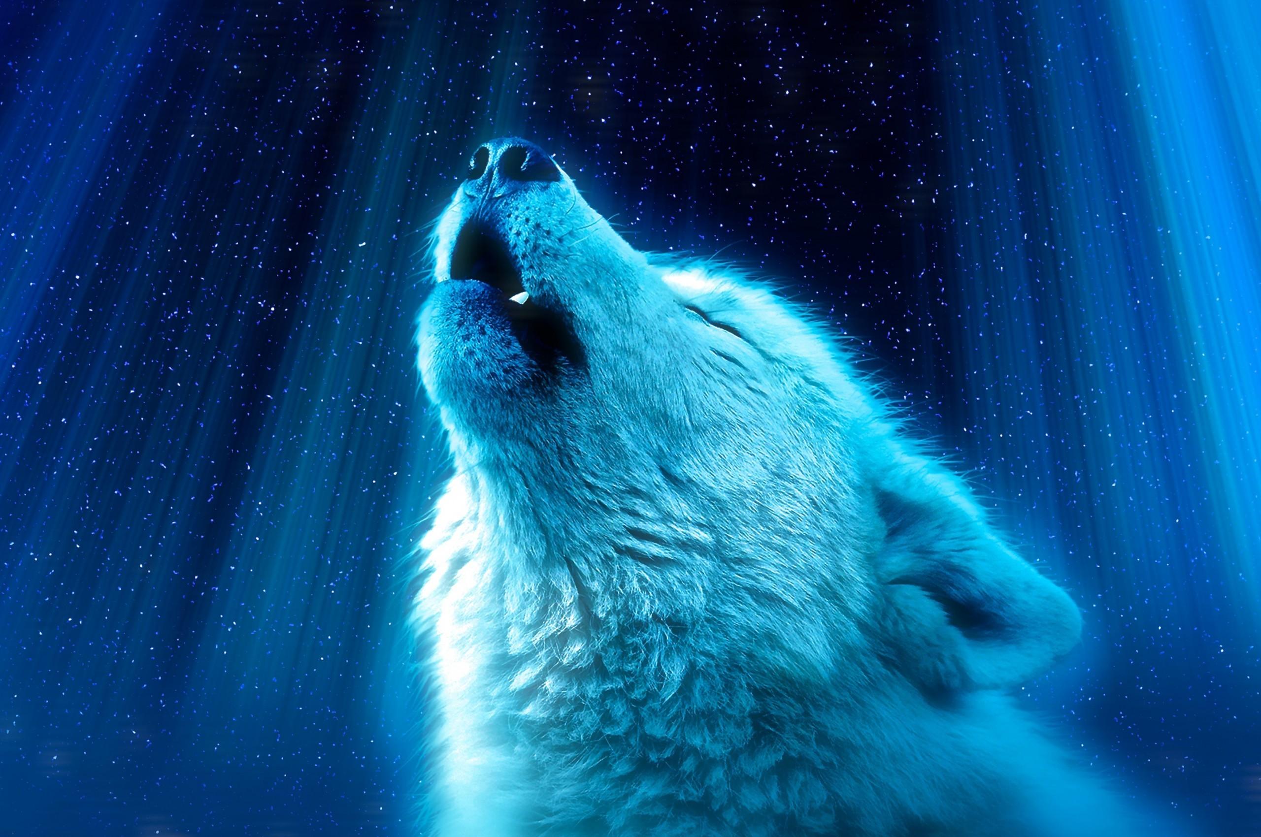 Howl 4K Wallpapers - Top Free Howl 4K Backgrounds - WallpaperAccess