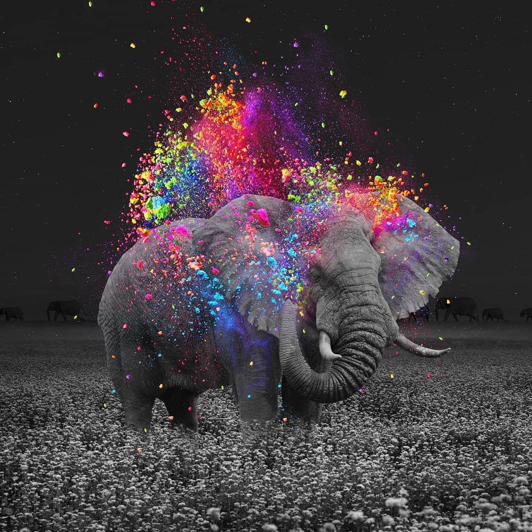 Cute Elephant Art Wallpapers - Top Free Cute Elephant Art Backgrounds ...