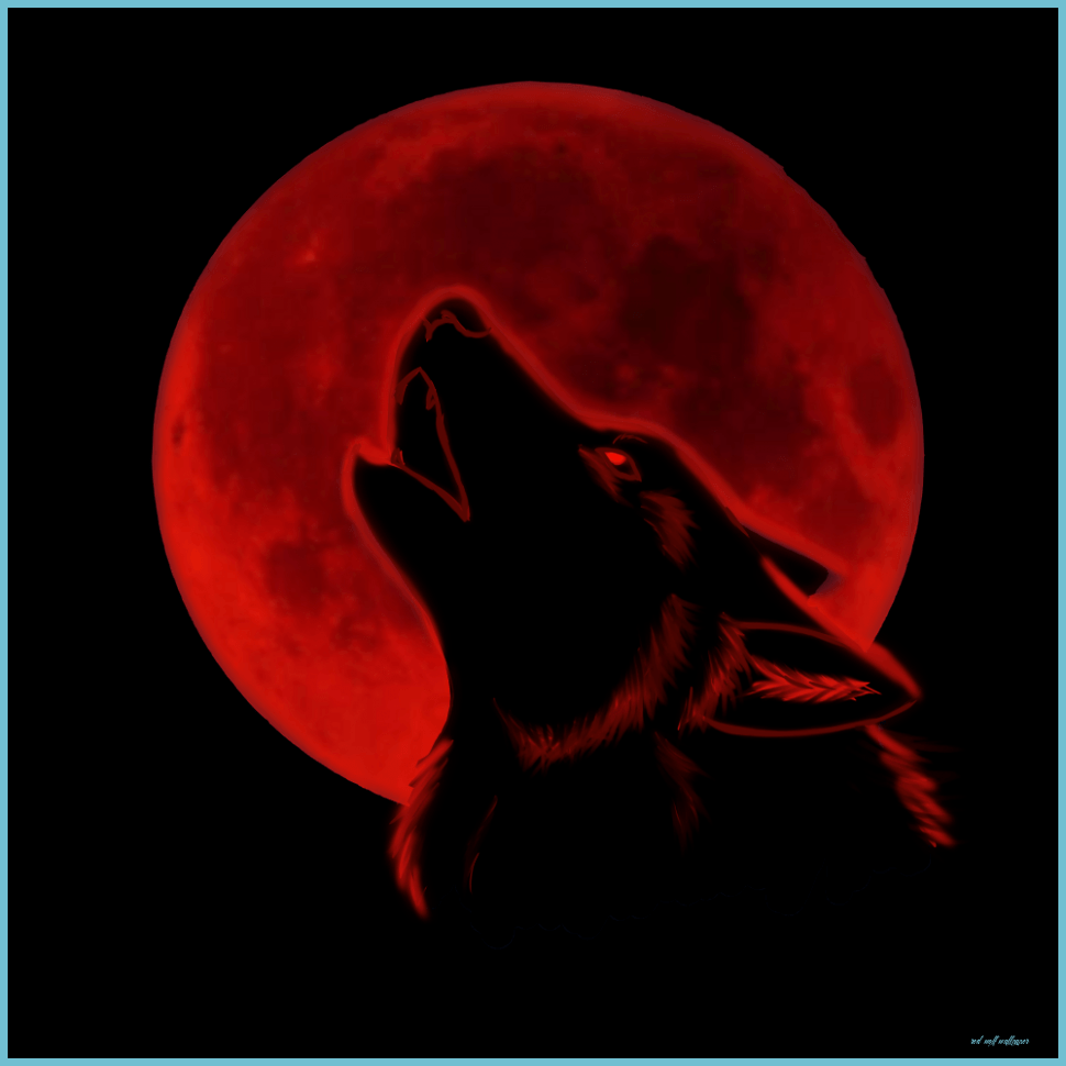 Cool Red Wolf Wallpapers - Top Free Cool Red Wolf Backgrounds ...