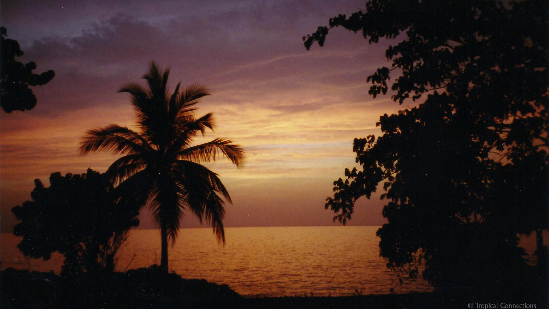 Jamaica Sunset Wallpapers - Top Free Jamaica Sunset Backgrounds ...