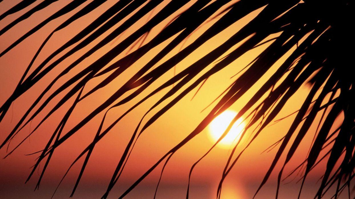 Jamaica Sunset Wallpapers - Top Free Jamaica Sunset Backgrounds ...