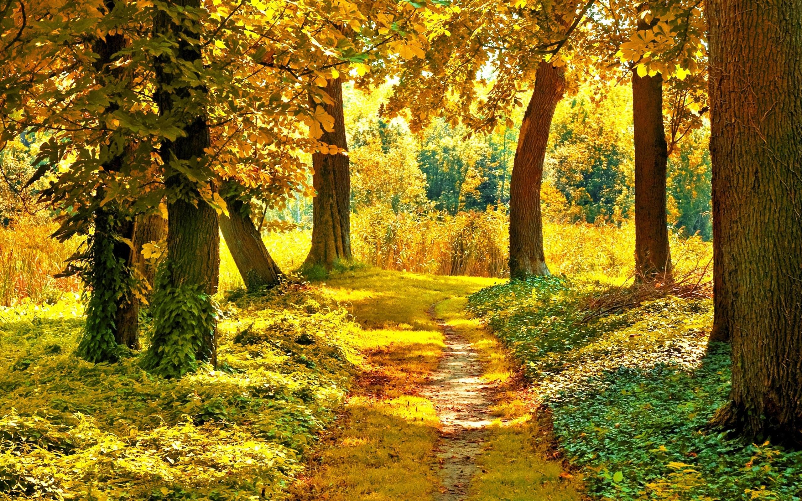 Early Autumn Wallpapers - Top Free Early Autumn Backgrounds ...