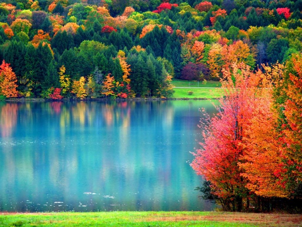 Early Autumn Wallpapers - Top Free Early Autumn Backgrounds ...