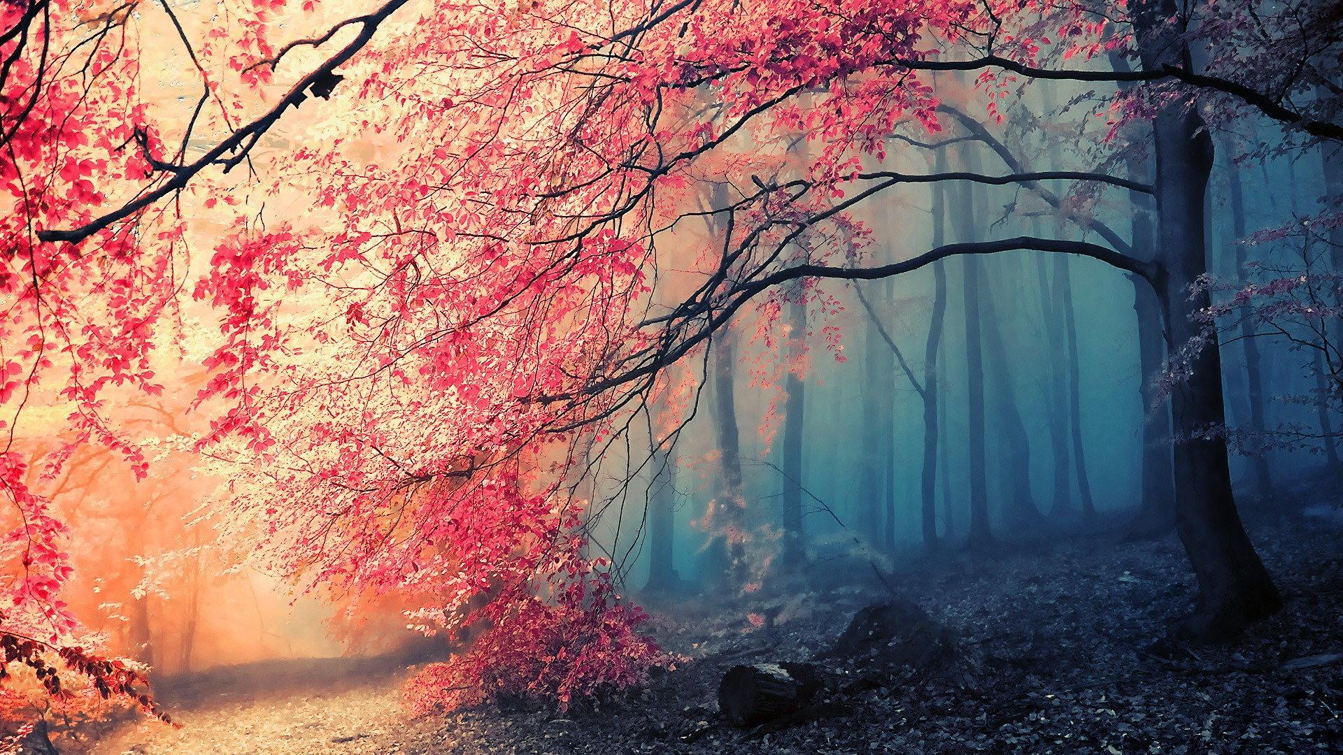 Early Autumn Wallpapers - Top Free Early Autumn Backgrounds ...