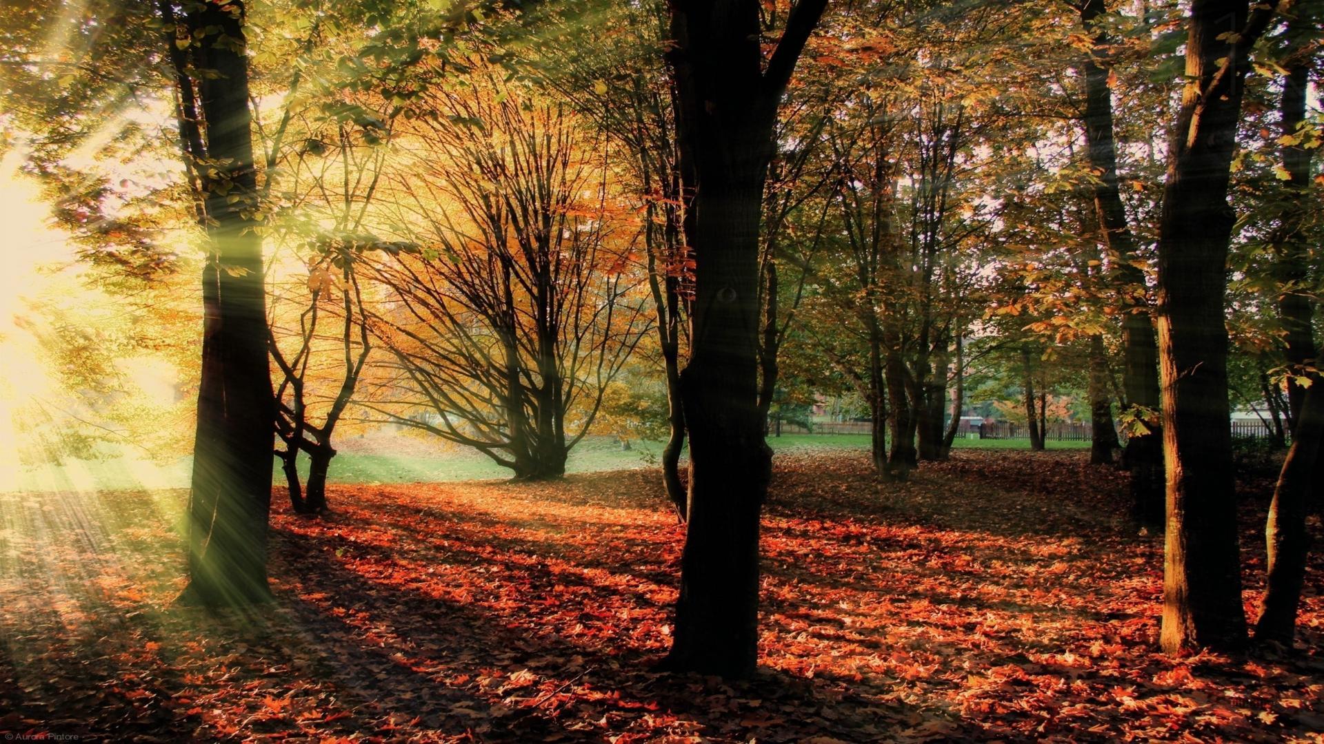Early Autumn Wallpapers - Top Free Early Autumn Backgrounds ...