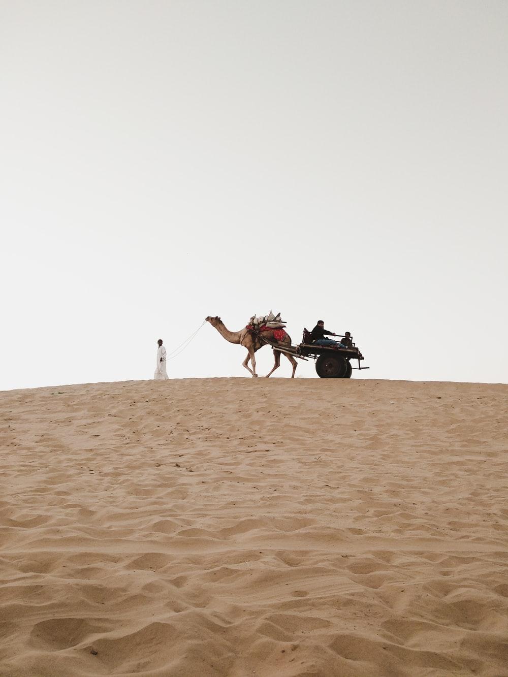Rajasthan HD Wallpapers - Top Free Rajasthan HD Backgrounds ...