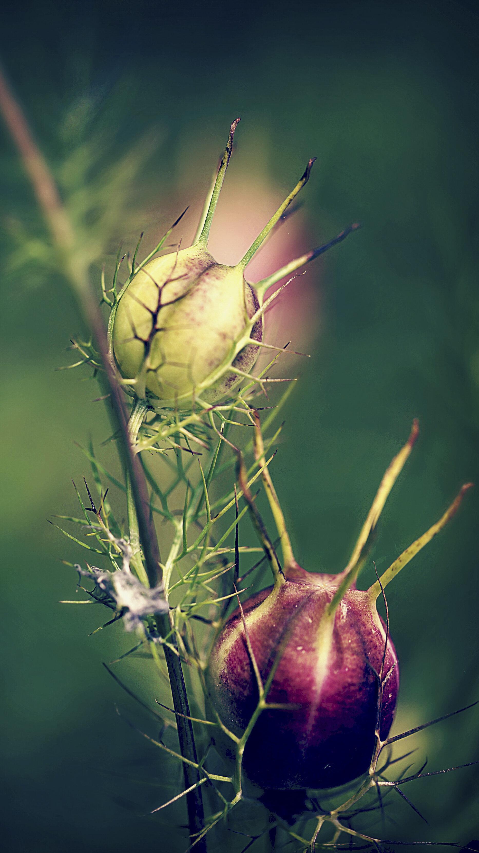 Digital Mobile Wallpapers - Top Free Digital Mobile Backgrounds ...