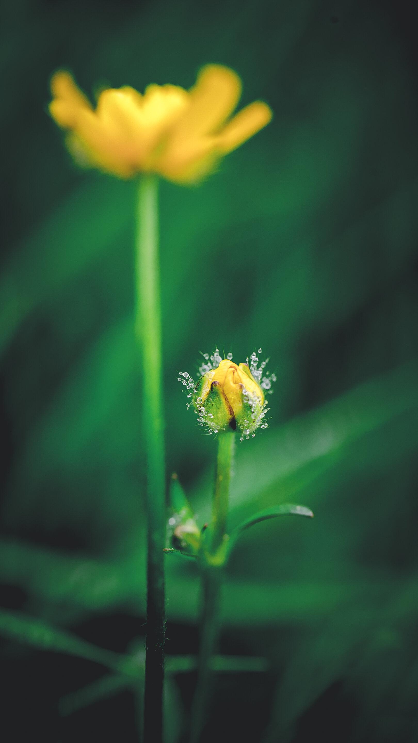 Digital Mobile Wallpapers - Top Free Digital Mobile Backgrounds ...