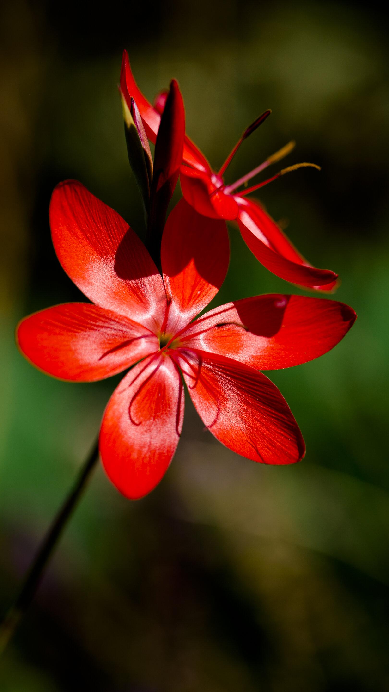 Digital Mobile Wallpapers - Top Free Digital Mobile Backgrounds ...