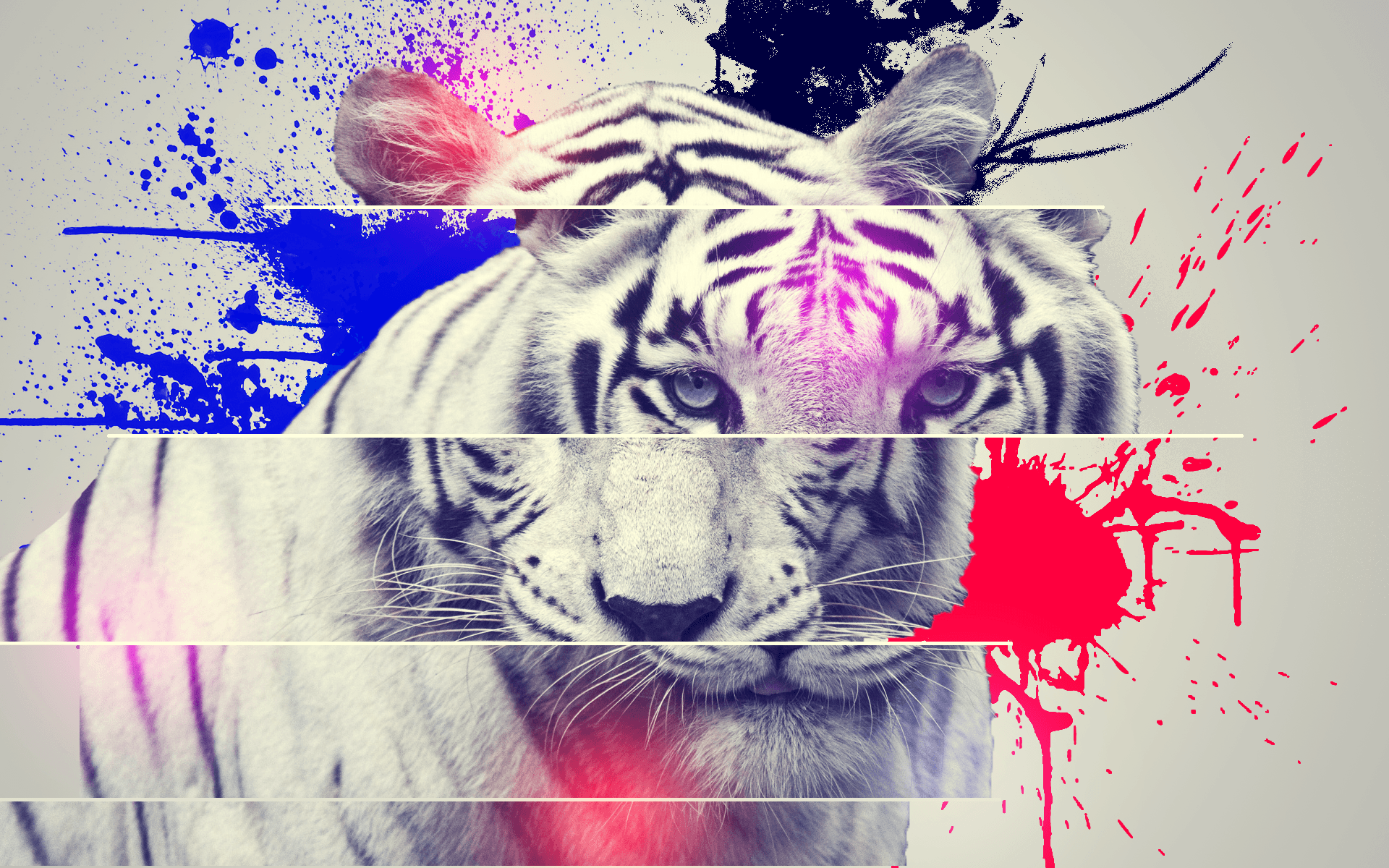 Abstract Tiger Wallpapers - Top Free Abstract Tiger Backgrounds ...