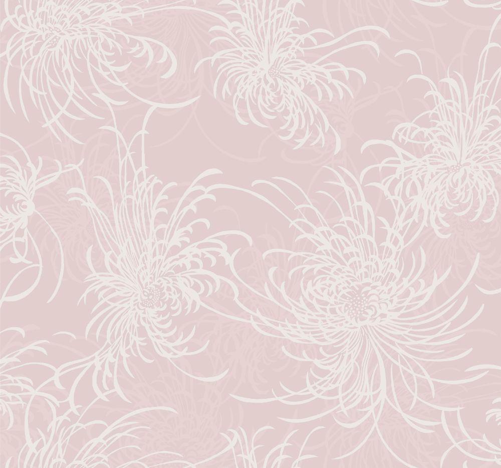 Blush Floral Wallpapers - Top Free Blush Floral Backgrounds ...