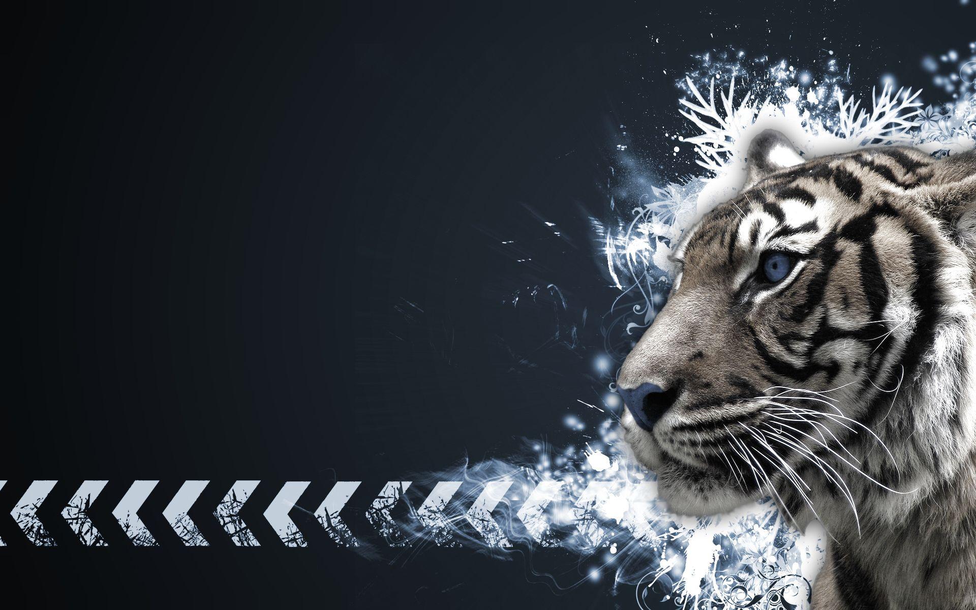 Abstract Tiger Wallpapers - Top Free Abstract Tiger Backgrounds ...