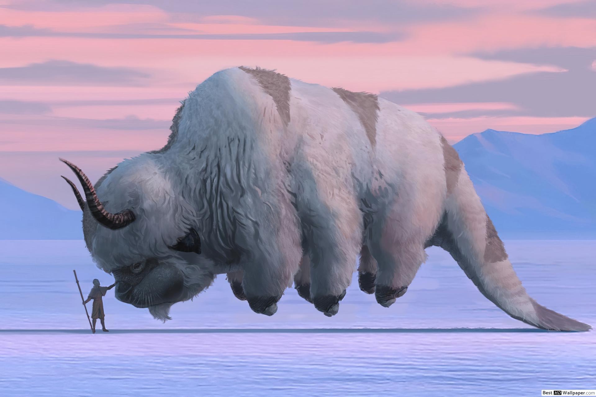 Appa Desktop Wallpapers - Top Free Appa Desktop Backgrounds ...