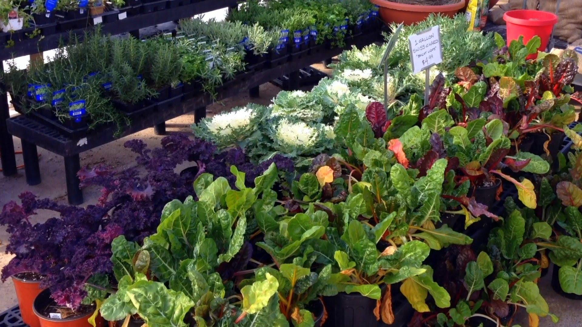 Vegetable Garden HD Wallpapers - Top Free Vegetable Garden HD ...