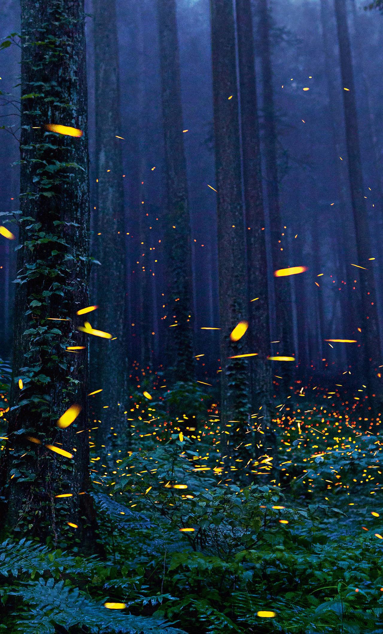 Fireflies Wallpapers - Top Free Fireflies Backgrounds - WallpaperAccess