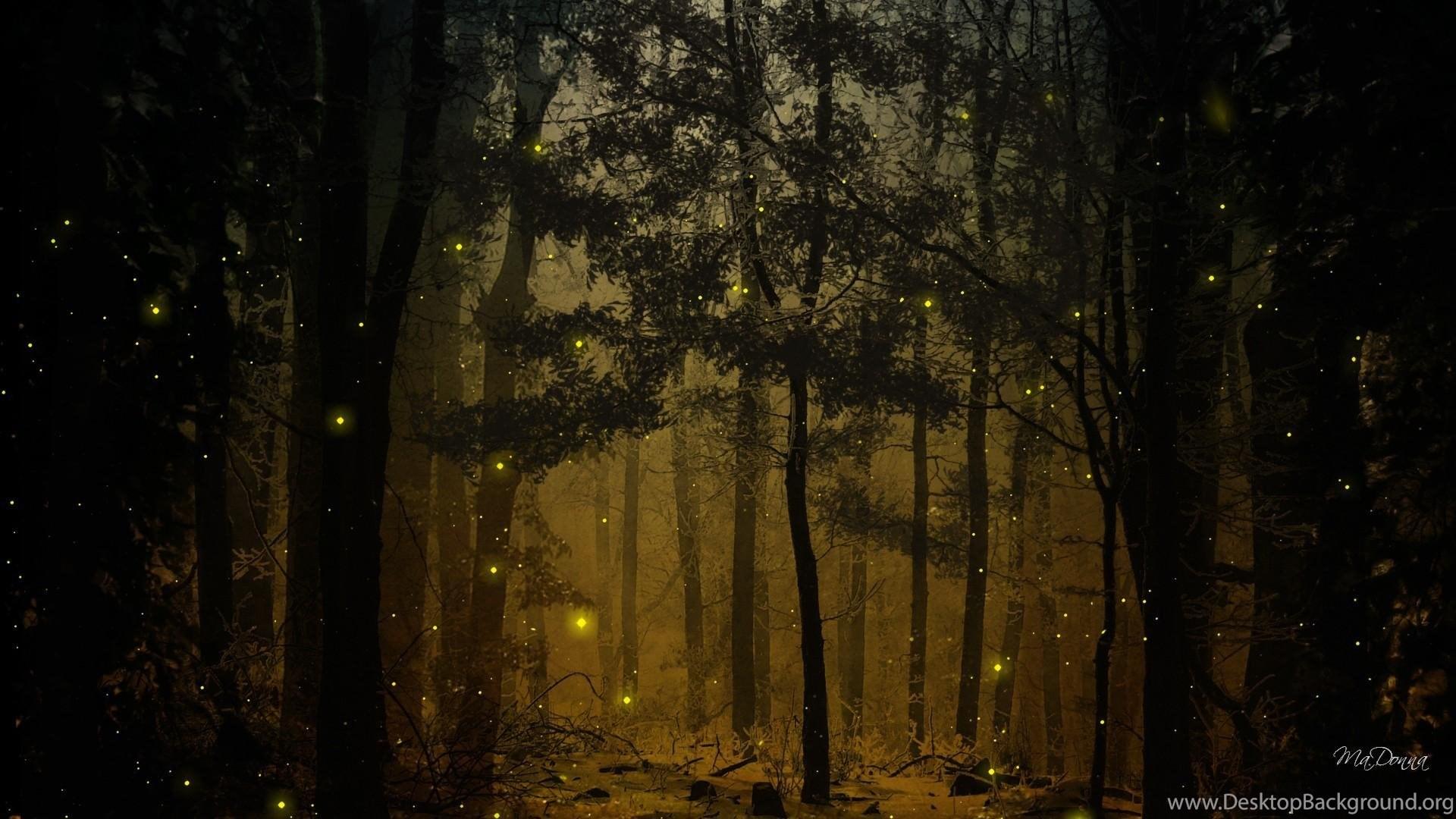 Fireflies Wallpapers - Top Free Fireflies Backgrounds - WallpaperAccess