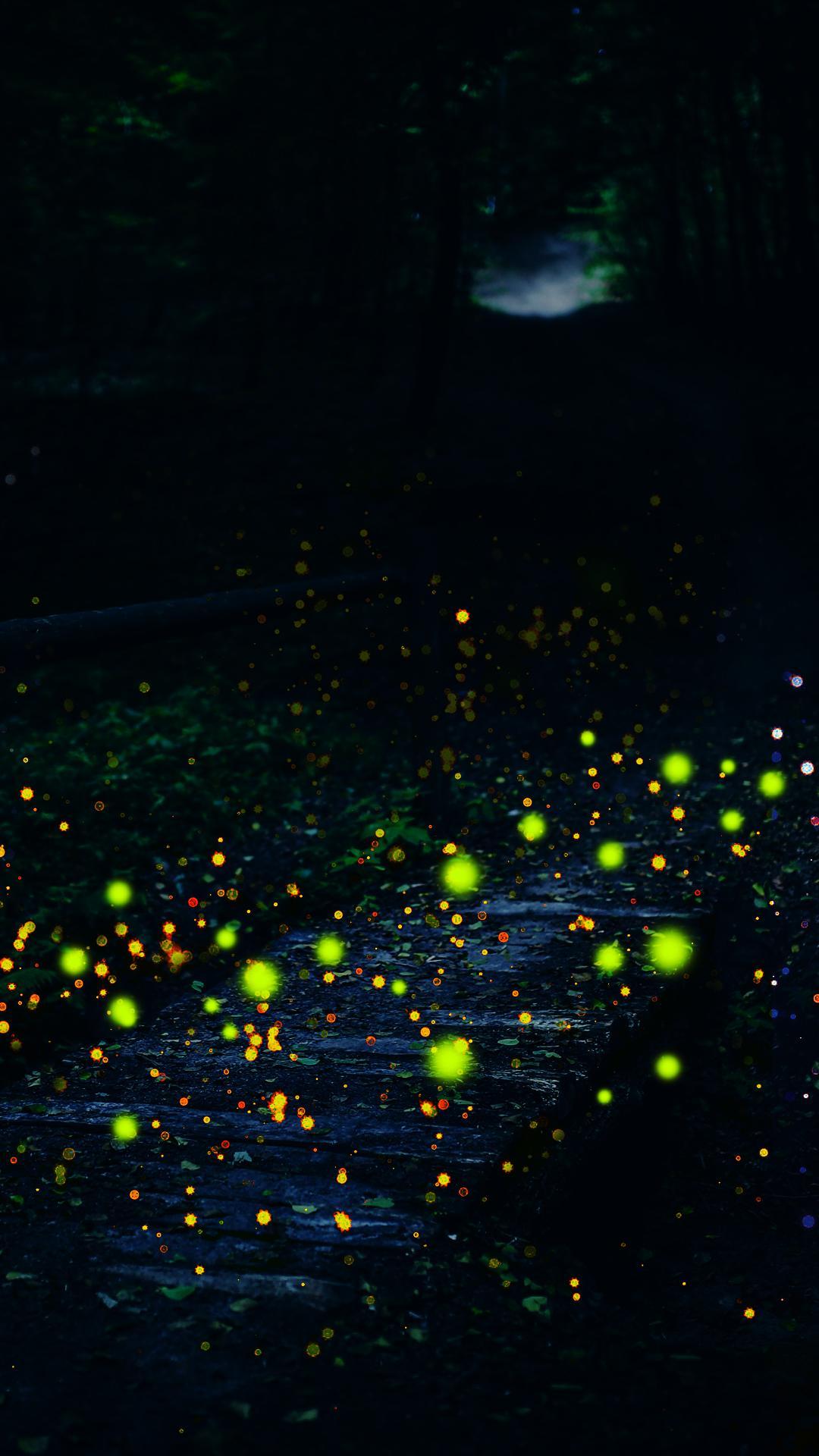 Fireflies Wallpapers - Top Free Fireflies Backgrounds - WallpaperAccess