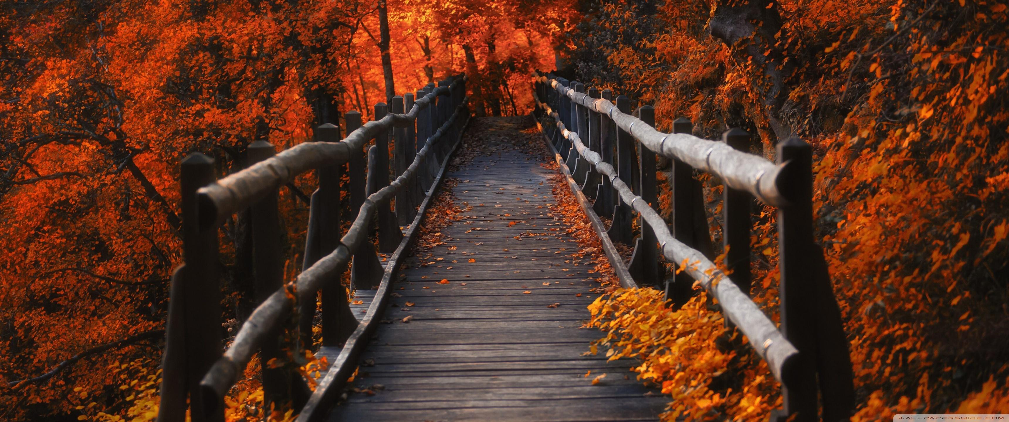 3440X1440 Fall Wallpapers - Top Free 3440X1440 Fall Backgrounds ...