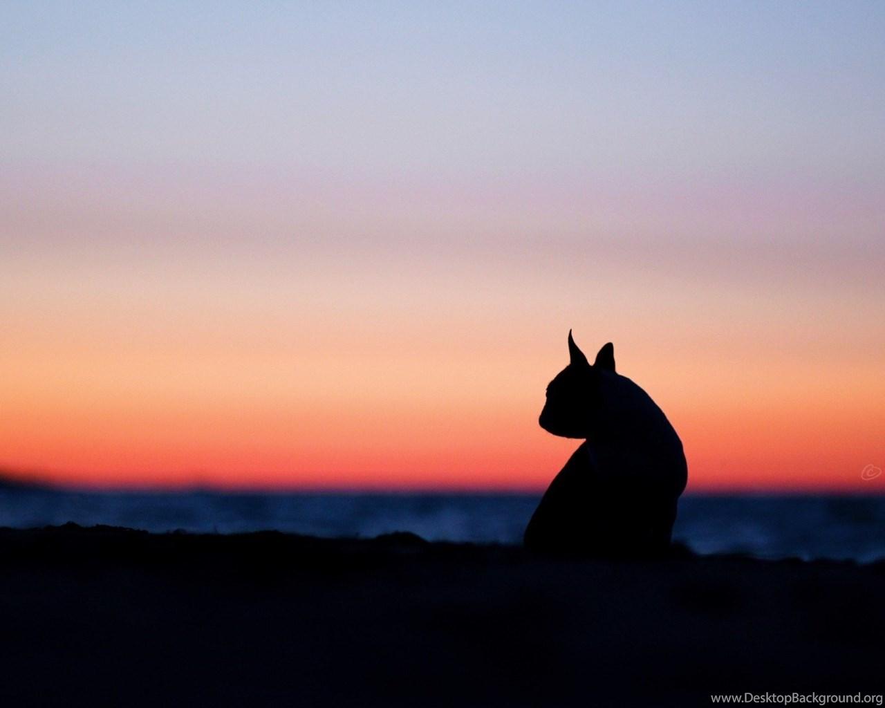 Sunset Mood Wallpapers - Top Free Sunset Mood Backgrounds - WallpaperAccess