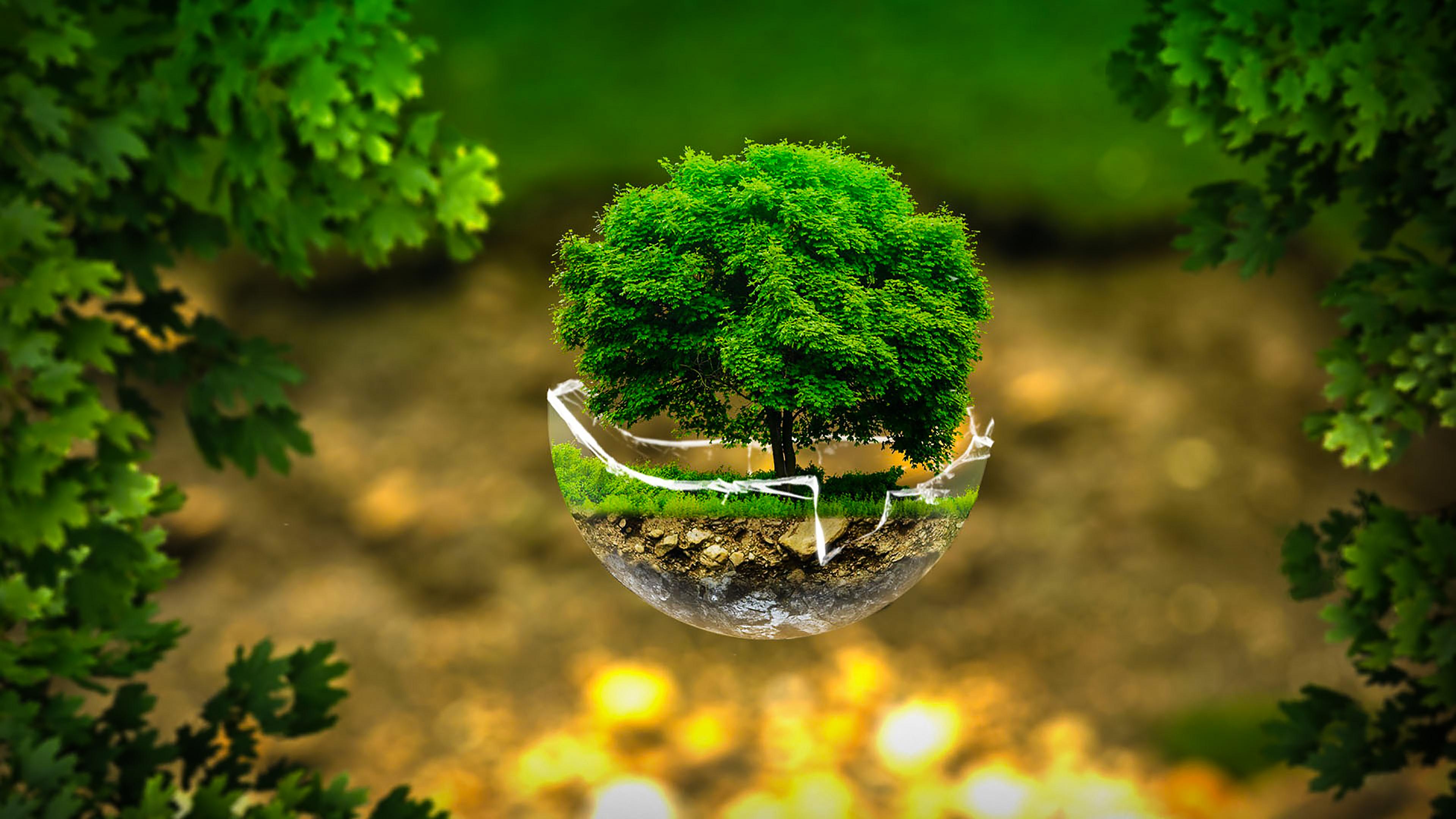 Greeny Wallpapers - Top Free Greeny Backgrounds - WallpaperAccess