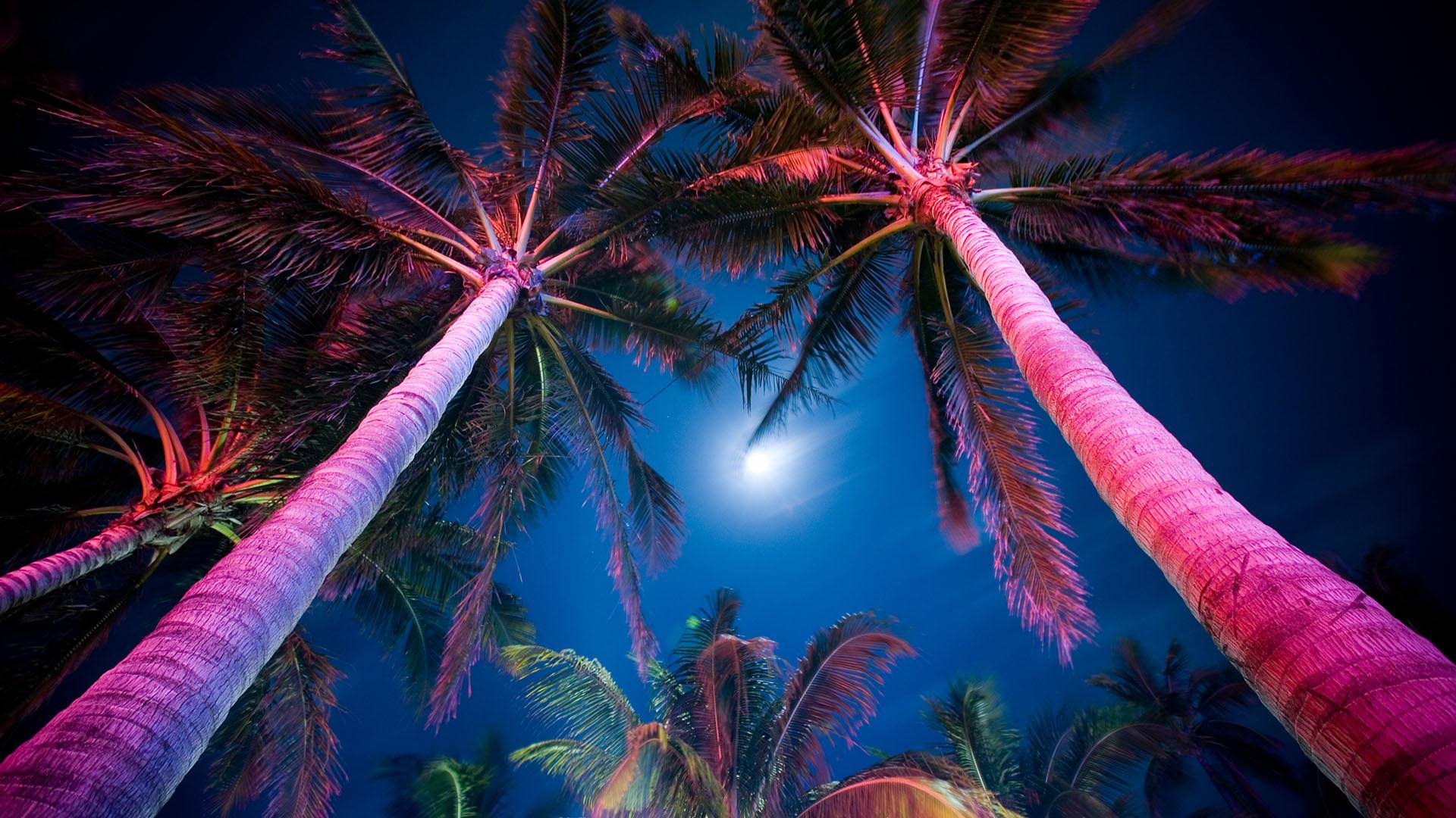South Florida Wallpapers - Top Free South Florida Backgrounds ...