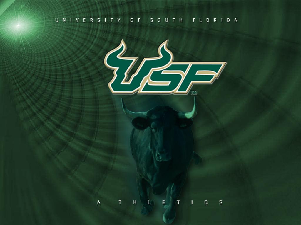 South Florida Wallpapers - Top Free South Florida Backgrounds ...