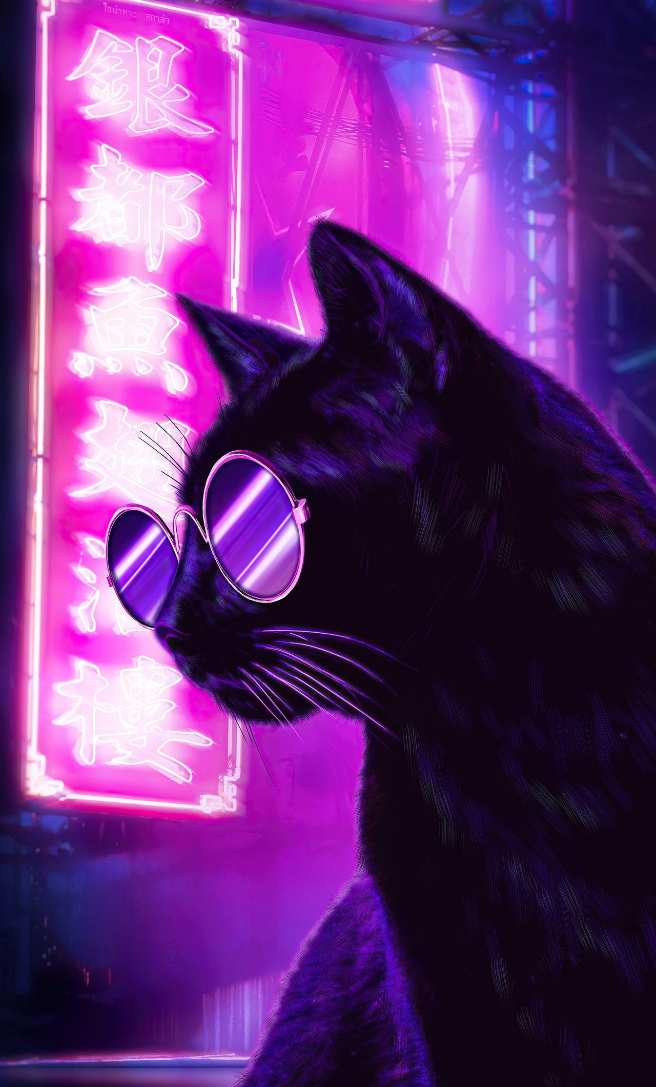 Purple Cat Wallpapers - Top Free Purple Cat Backgrounds - WallpaperAccess