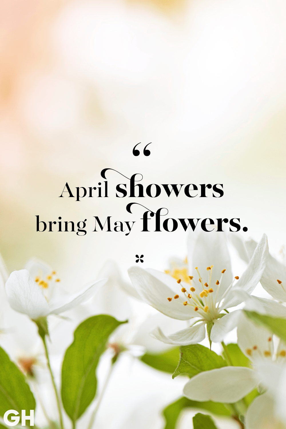 April Showers Bring May Flowers Wallpapers - Top Free April Showers ...