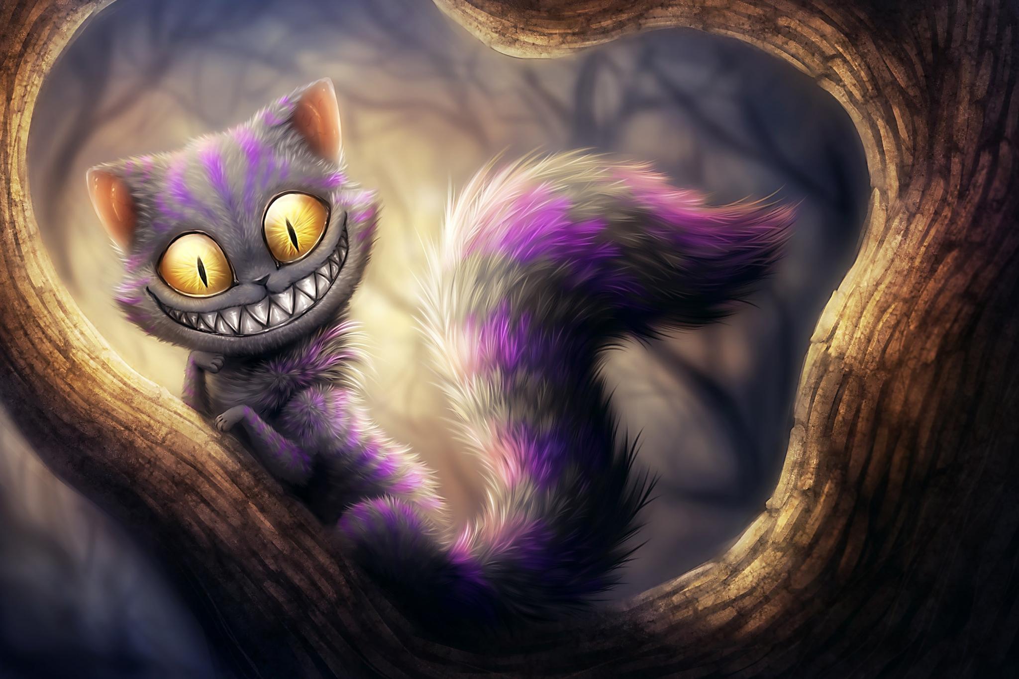 Purple Cat Wallpapers - Top Free Purple Cat Backgrounds - WallpaperAccess