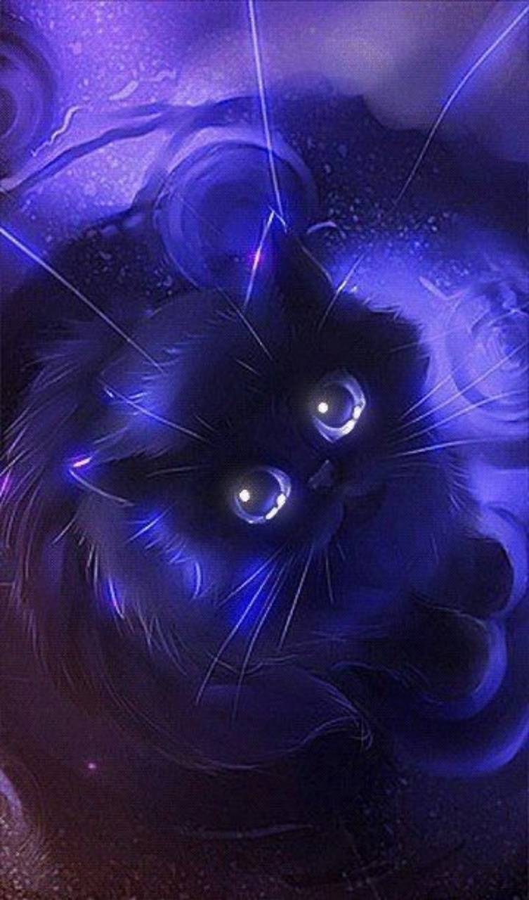 Purple Cat Wallpapers - Top Free Purple Cat Backgrounds - WallpaperAccess