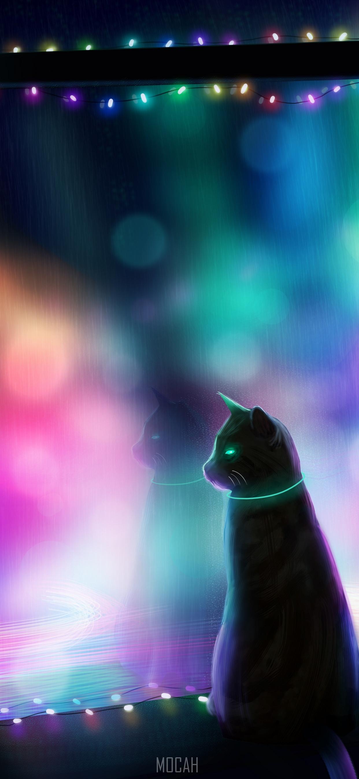 Purple Cat Wallpapers - Top Free Purple Cat Backgrounds - WallpaperAccess