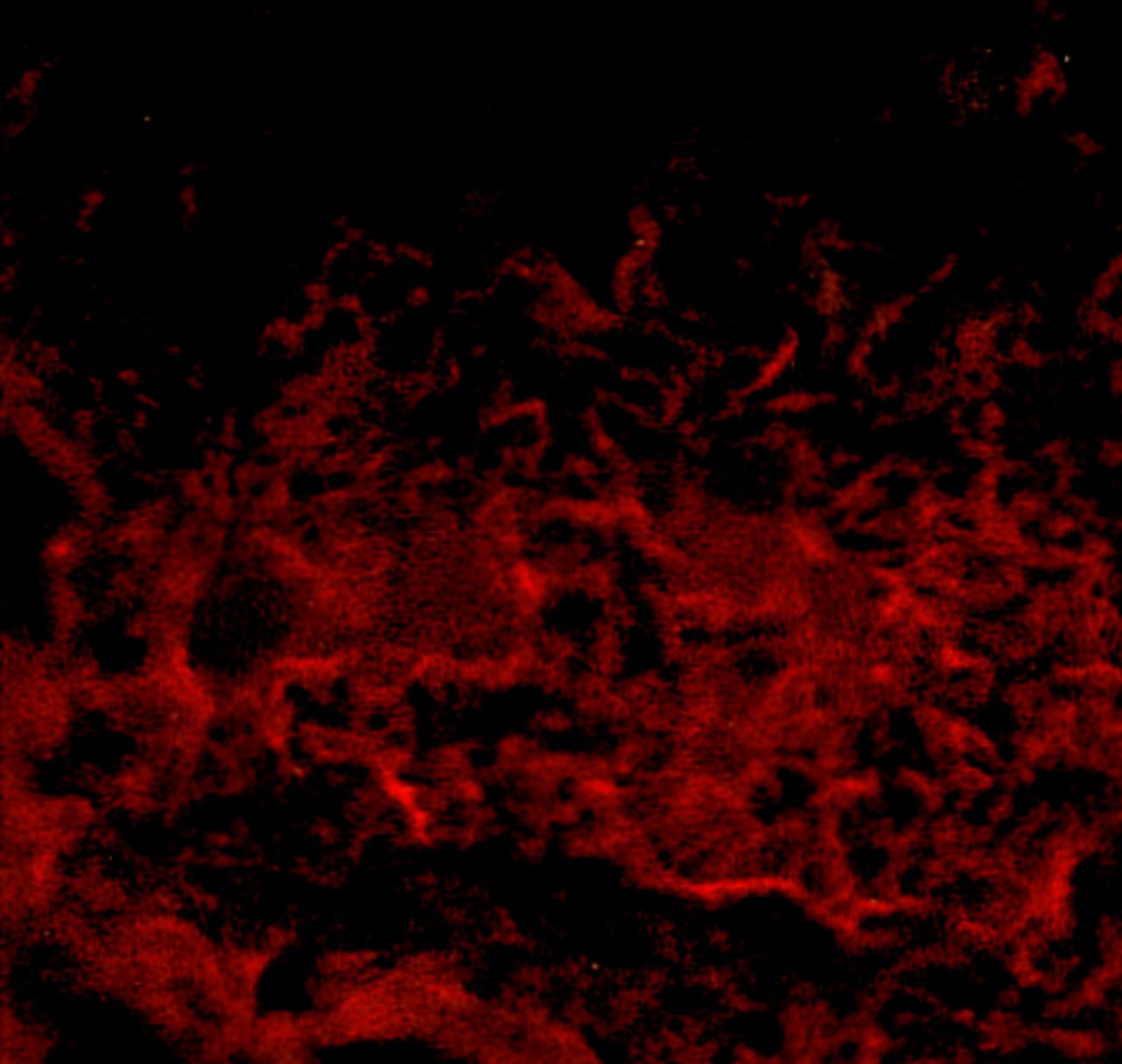 Basic Science Wallpapers - Top Free Basic Science Backgrounds ...