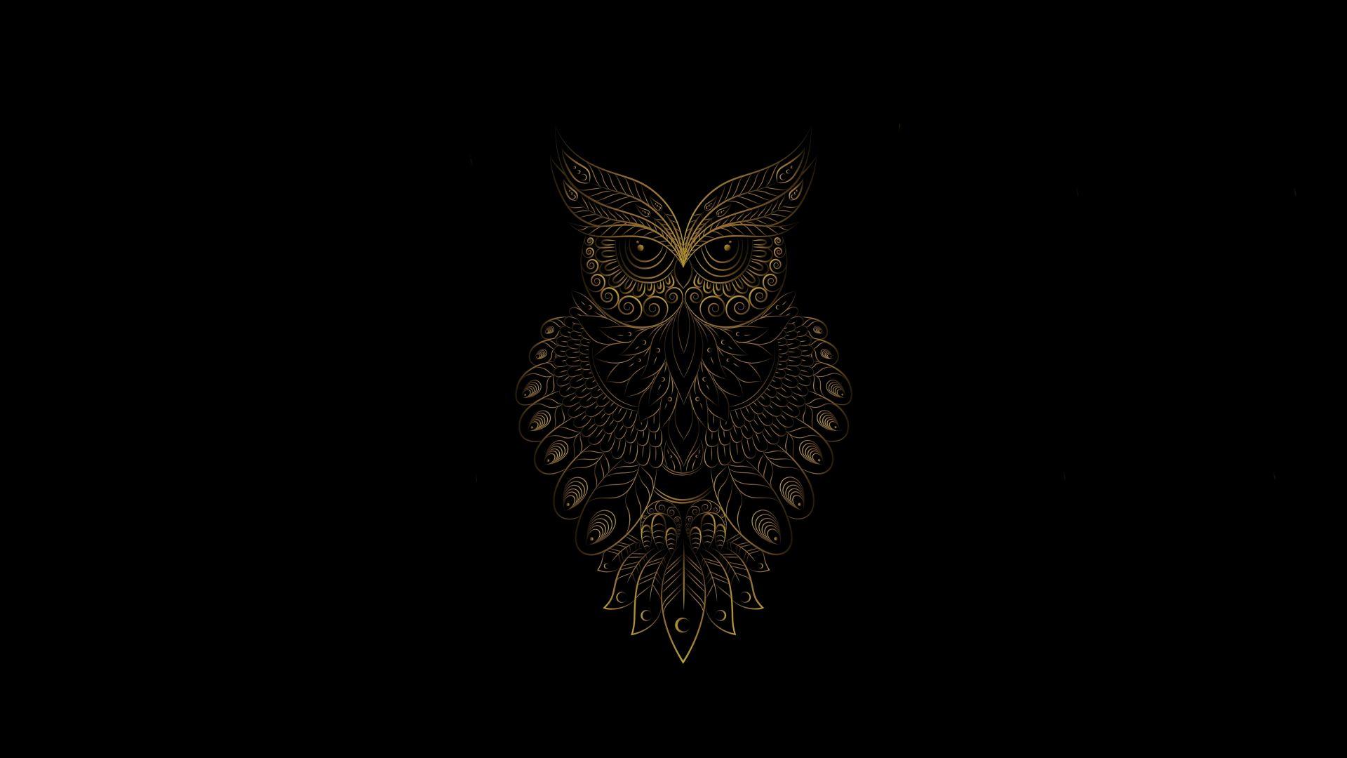 Owl Man Wallpapers - Top Free Owl Man Backgrounds - WallpaperAccess
