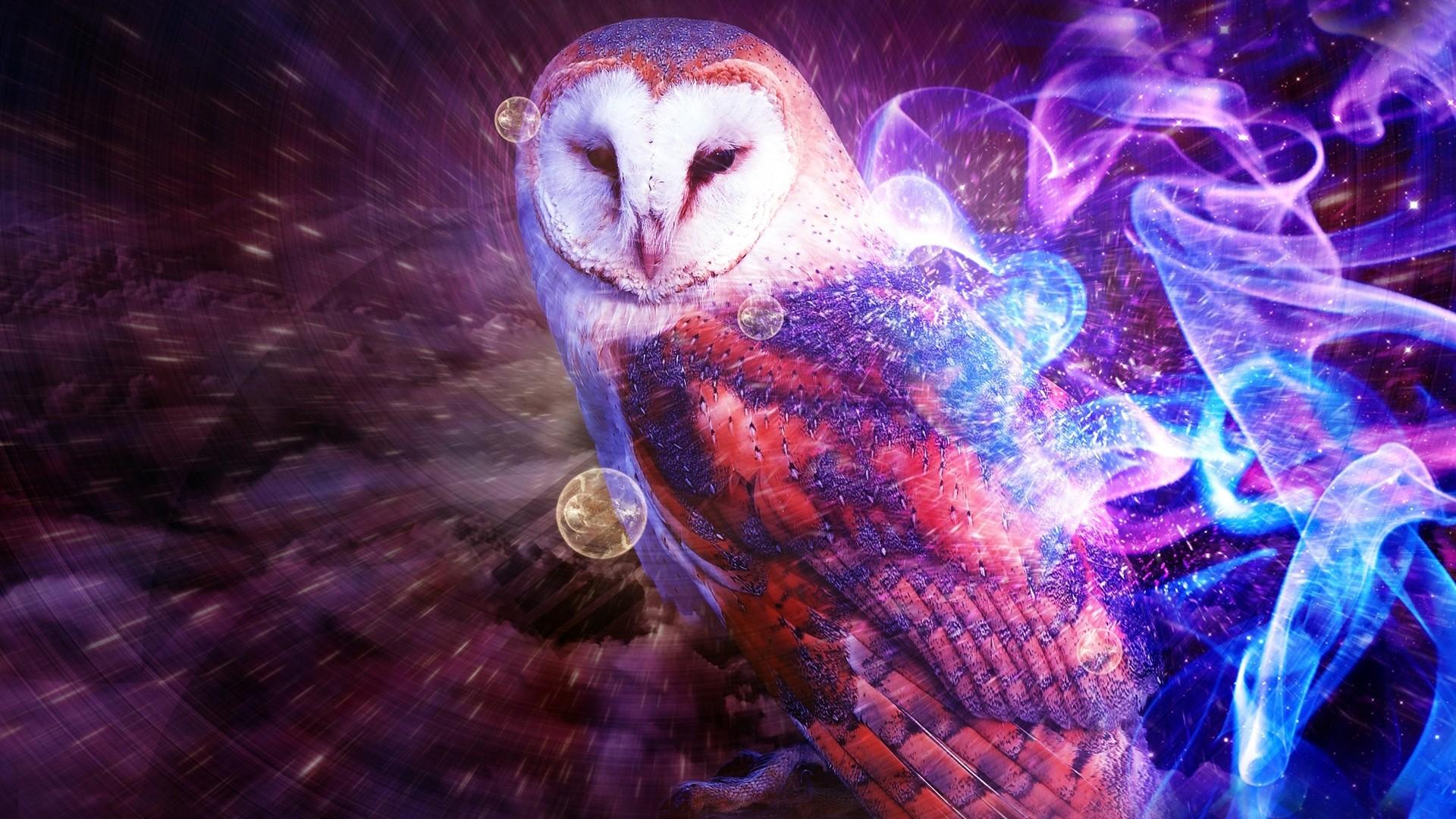 Owl Man Wallpapers - Top Free Owl Man Backgrounds - WallpaperAccess