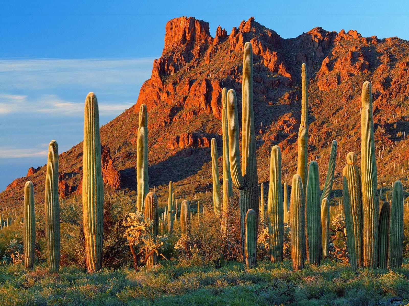 Arizona Landscape Desktop Wallpapers - Top Free Arizona Landscape Desktop Backgrounds ...
