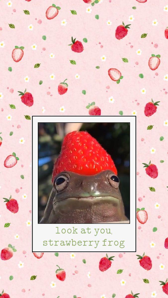 Pink Frog Wallpapers - Top Free Pink Frog Backgrounds - WallpaperAccess