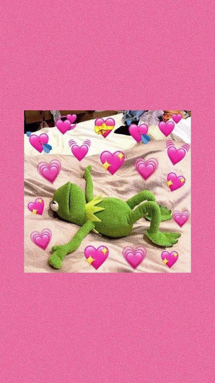 Pink Frog Wallpapers - Top Free Pink Frog Backgrounds - WallpaperAccess