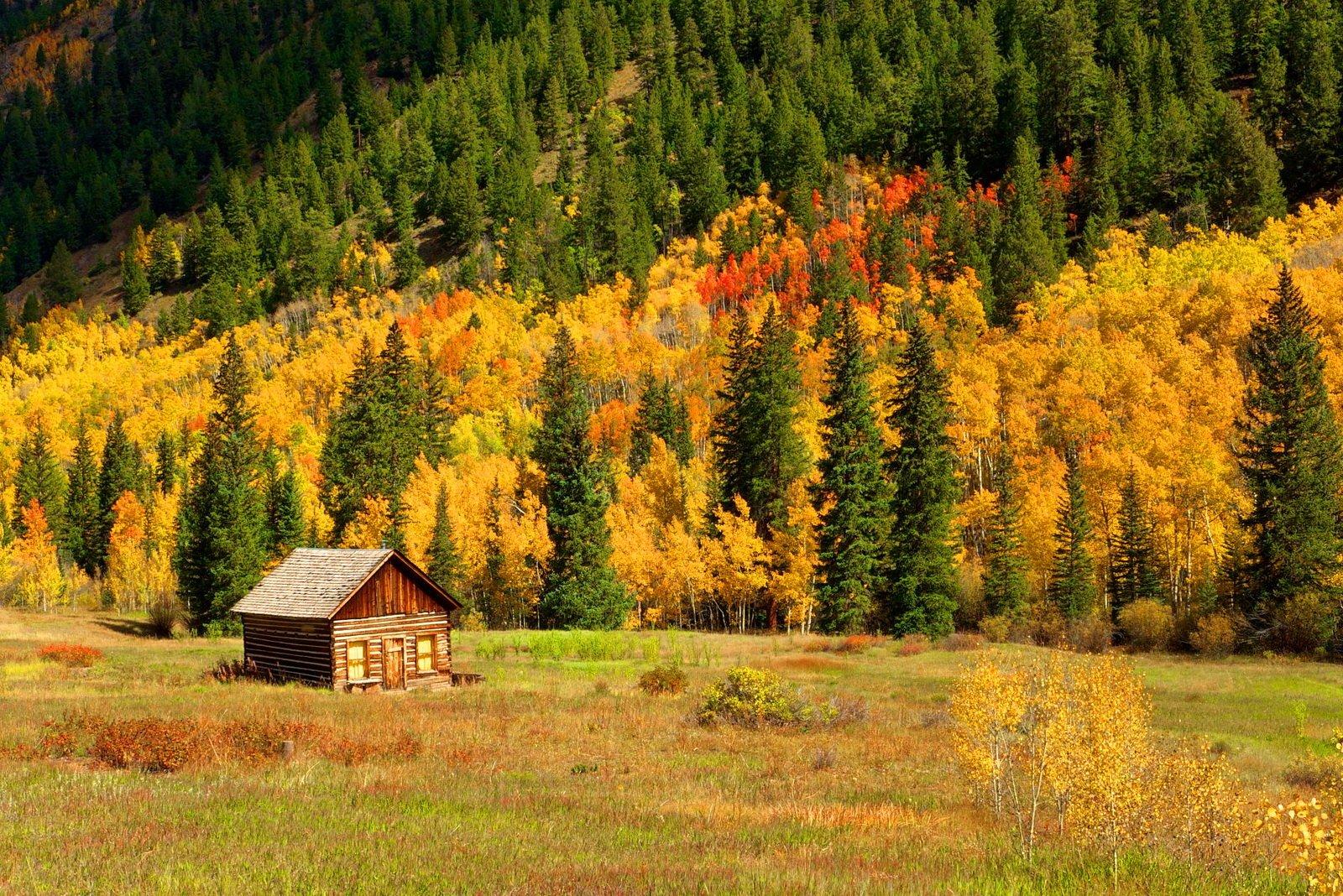 Fall Cabin Wallpapers - Top Free Fall Cabin Backgrounds - WallpaperAccess