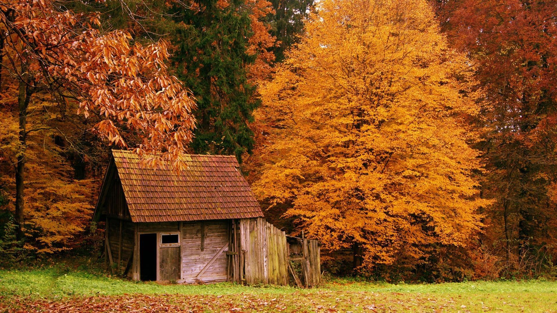 Fall Cabin Wallpapers - Top Free Fall Cabin Backgrounds - WallpaperAccess