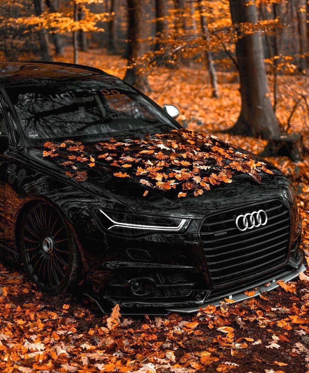 Custom Audi Wallpapers - Top Free Custom Audi Backgrounds - WallpaperAccess