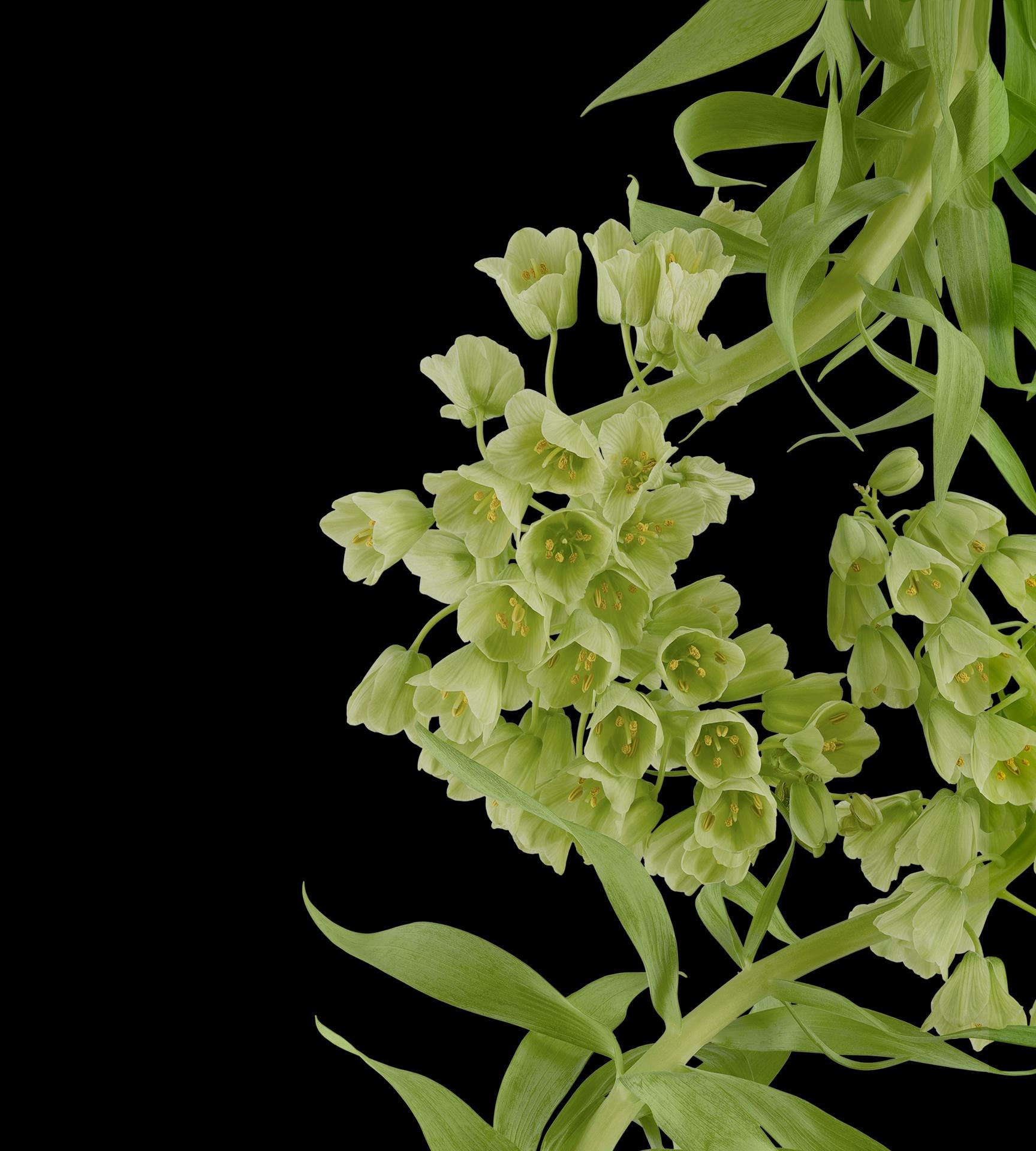 Google Pixel 6 Pro Wallpapers - Top Free Google Pixel 6 Pro Backgrounds ...