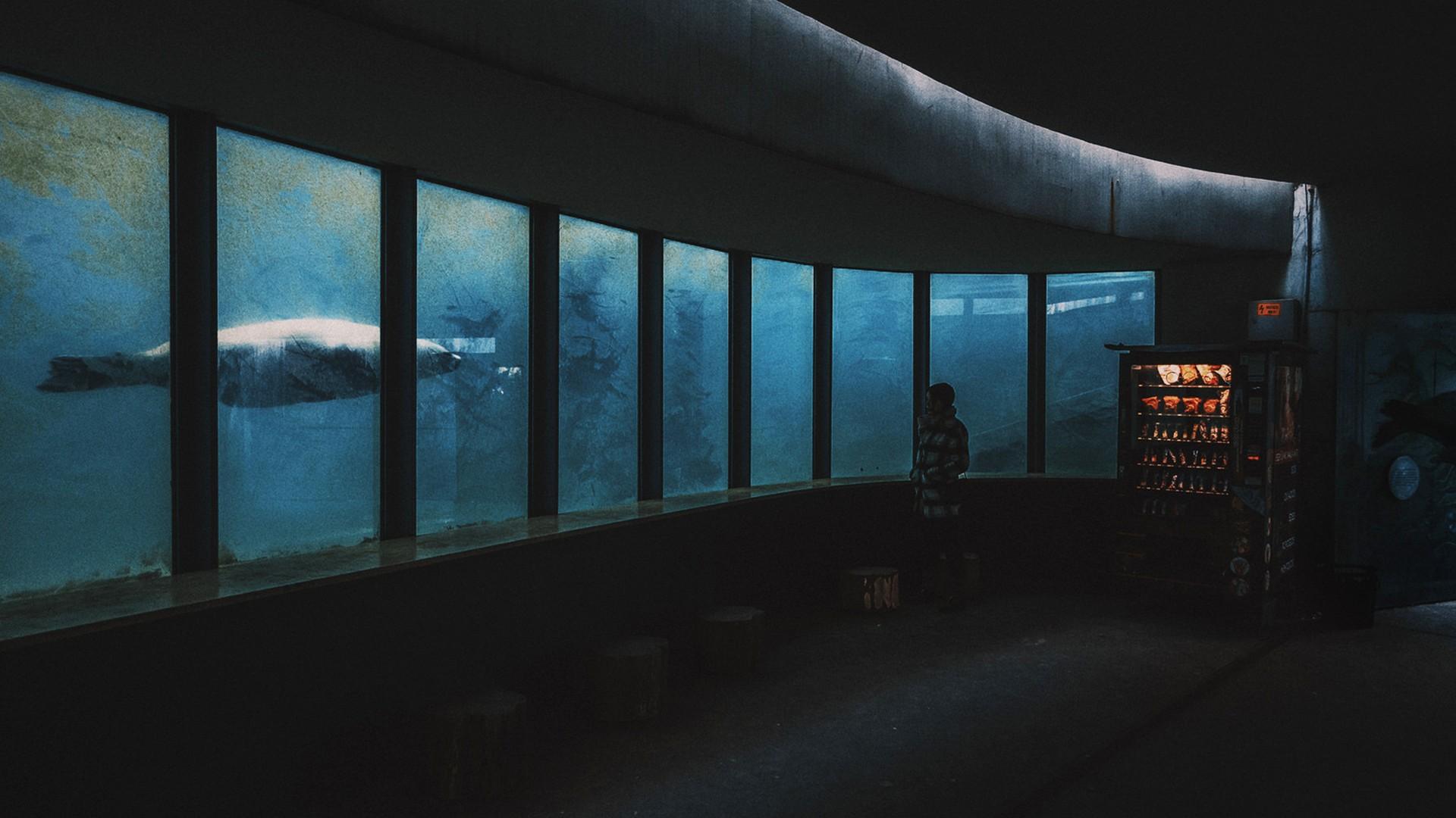 Comfy Wallpapers - Top Free Comfy Backgrounds - WallpaperAccess