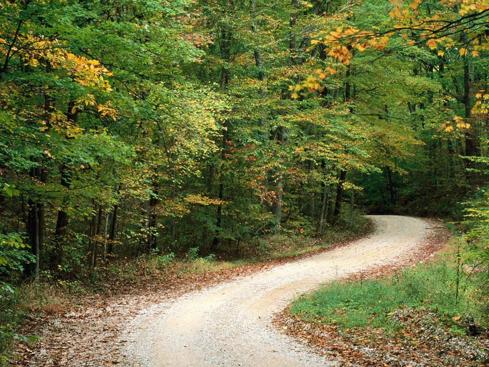Scenic Roads Wallpapers - Top Free Scenic Roads Backgrounds ...