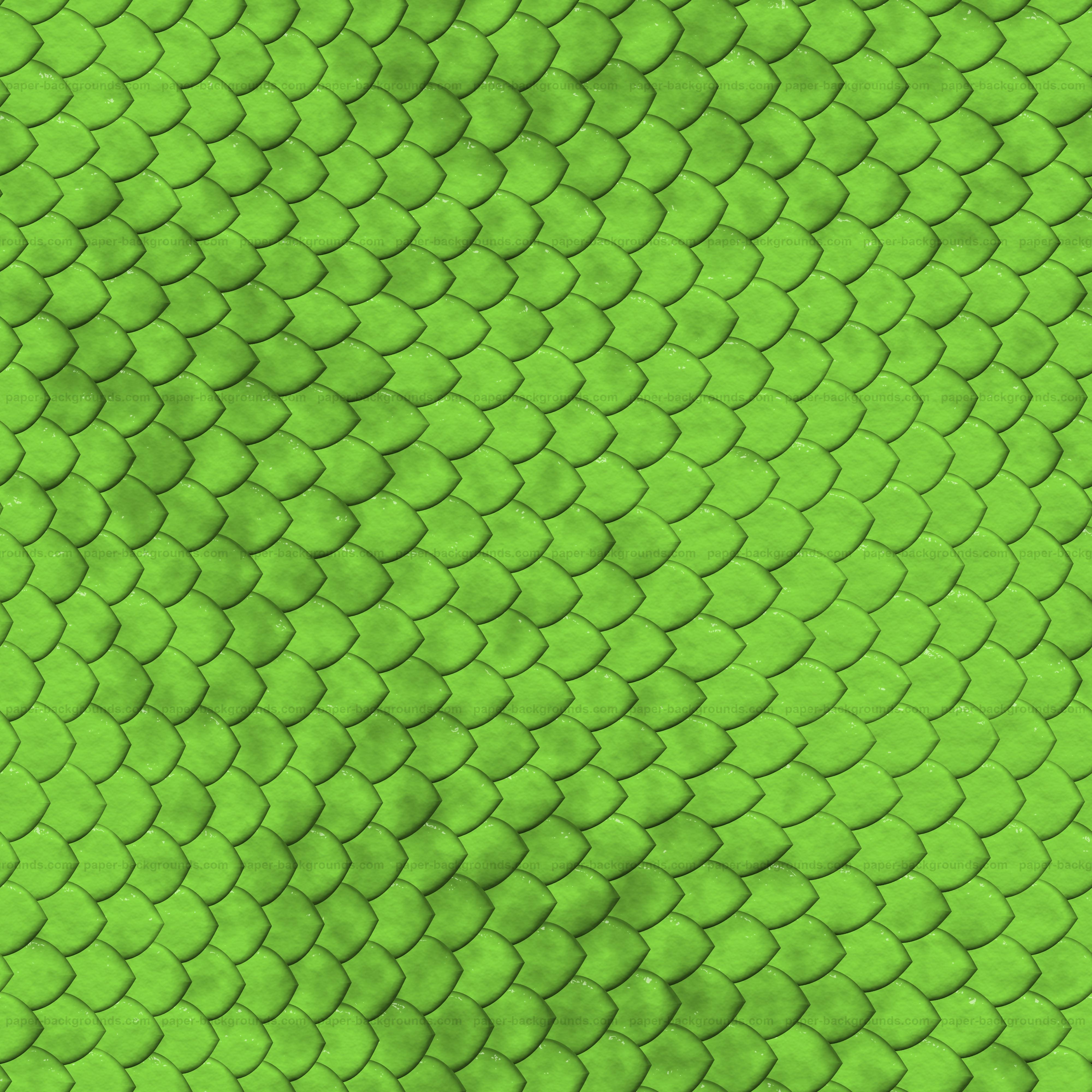 Snake Texture Wallpapers - Top Free Snake Texture Backgrounds ...